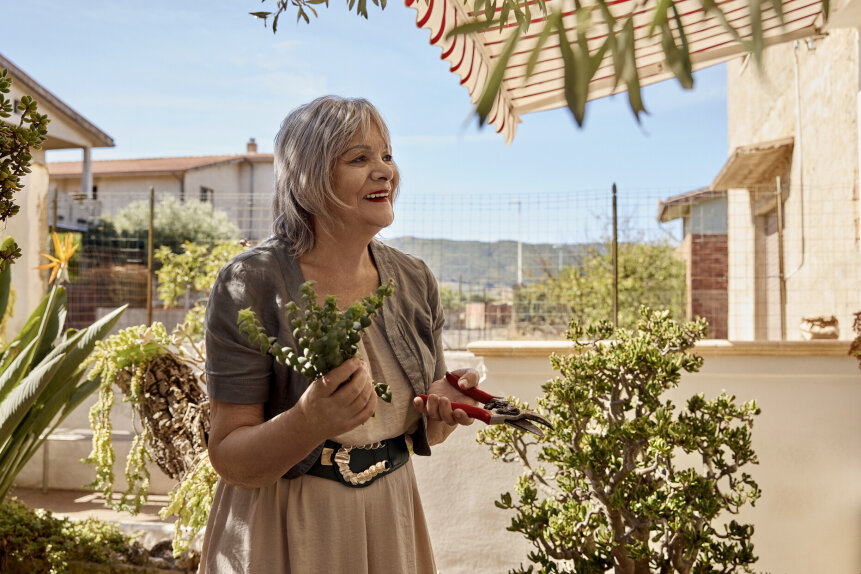 Wieder erhältlich - der Peristeen Analtampon